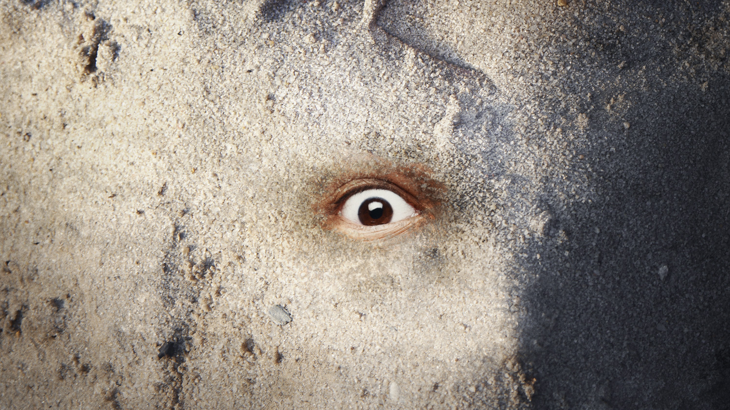 Will California Bury Gun Owners With A Bullet Button Ban? | An Official ...