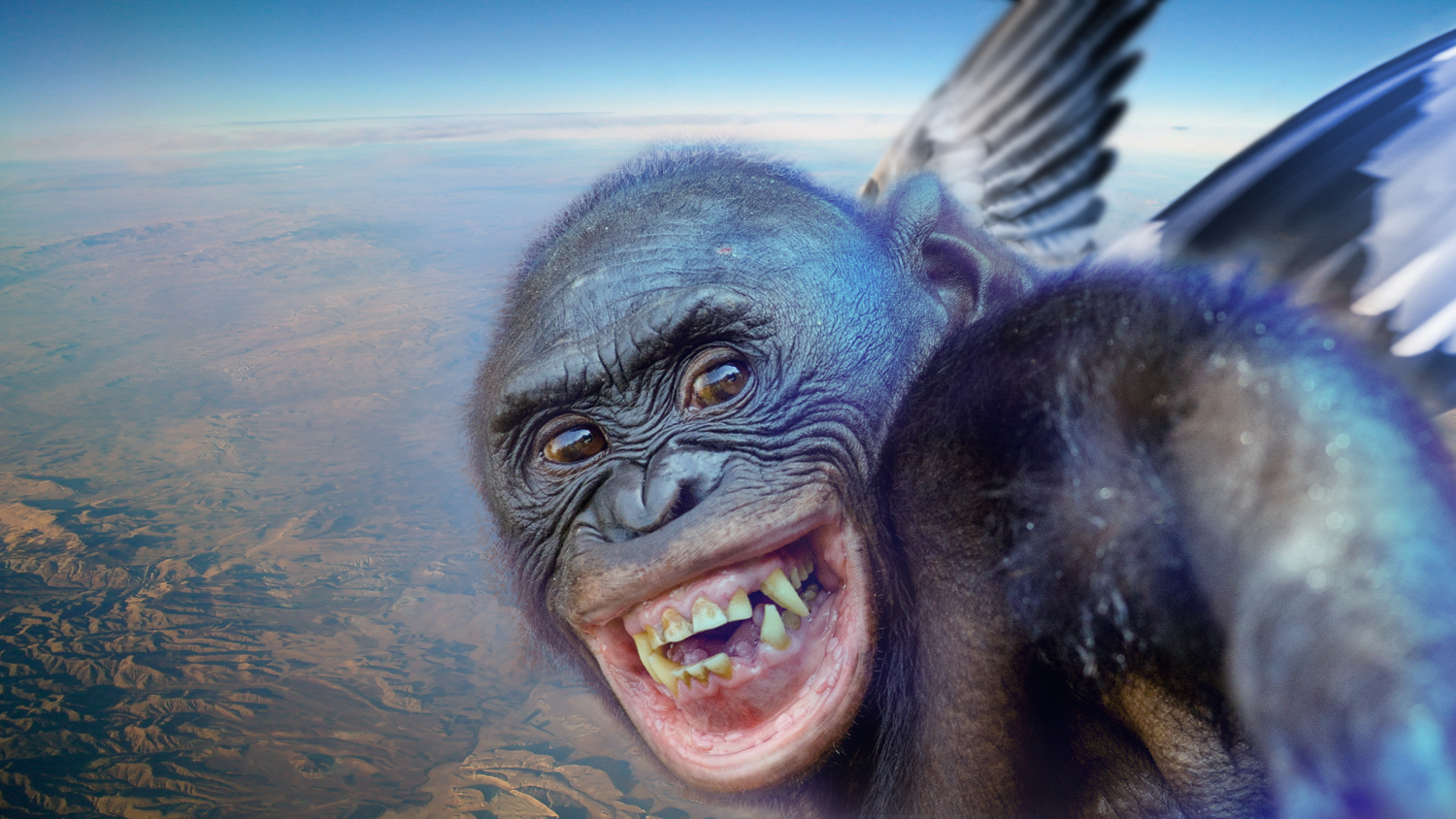 Senators Gillibrand And Murphy Believe Suppressors Silence Gunshots ...